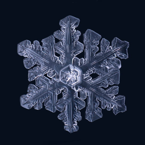 Snow and Ice – Christmas Art Connections | iPad Art Room